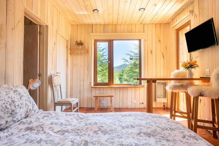 Departamento Studio En Medio De Bosque De ÑIres - San Carlos de Bariloche