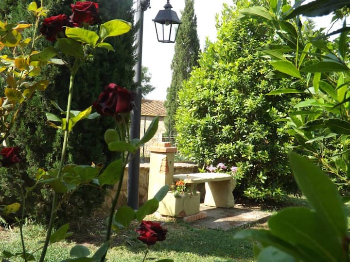 Appartamenti Immersi Nel Verde Per Tanto Relax - Volterra