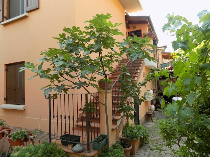 Bed And Breakfast A Casa Di Giulia Modena - Modène