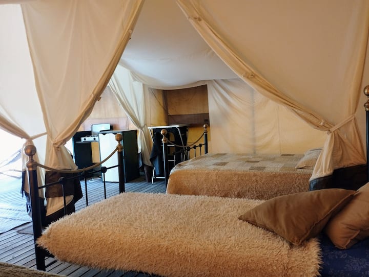 Tente Safari 40 M2
     La Berbère - Rioux