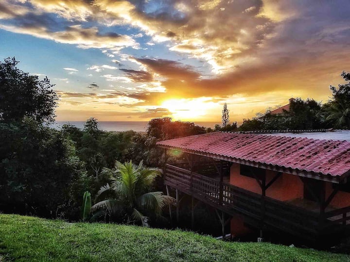 Casa De Mango - Rincón