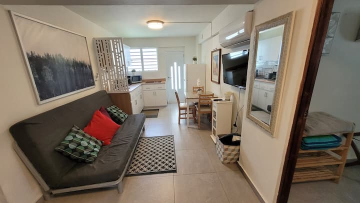 Lovely 1 Bedroom Unit, Condado With Parking. - Puerto Rico