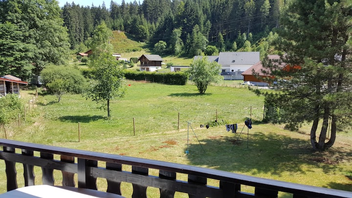 Appartement Au Calme Entre Lac Et Montagnes. - Gérardmer