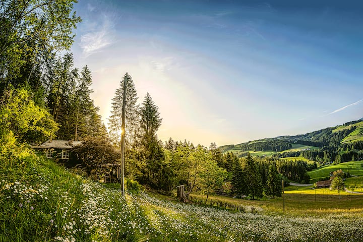 Tiny House In Midst Of Nature & With Mountain View - Appenzell