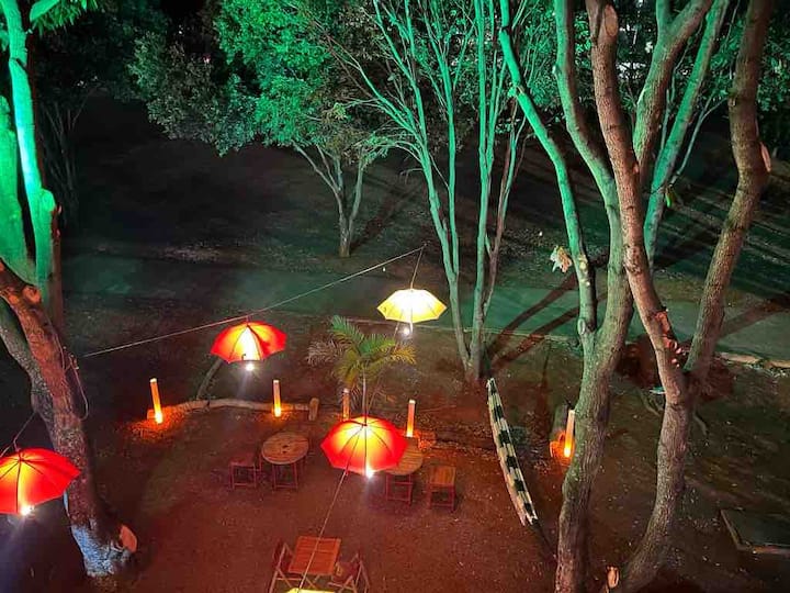 Apartamento 109 Norte Com Vista Para O Bosque - Sobradinho