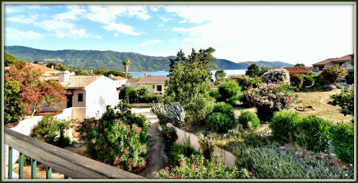 Appartement Corse  100 M  Plage Tiuccia Casaglione - Calcatoggio