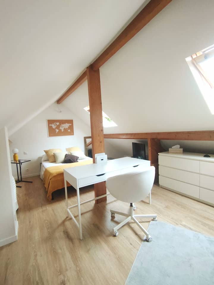 Chambre Spacieuse En Bord De Seine - Évry