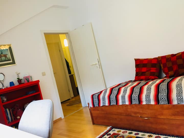 Charmantes Einzelzimmer - Heidelberg