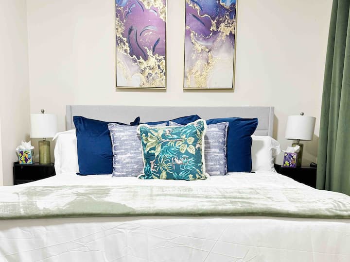 The Cardinal 808 A | King 1bd/1ba Studio Apt - Evansville, IN