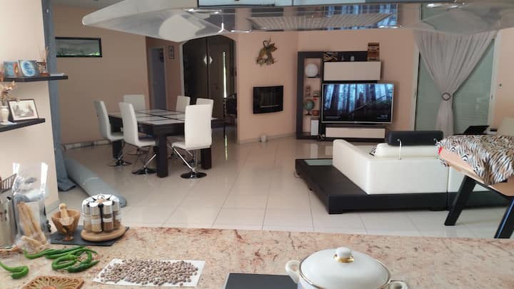 Belle Villa Avec Tout Confort - Saint-Médard-en-Jalles