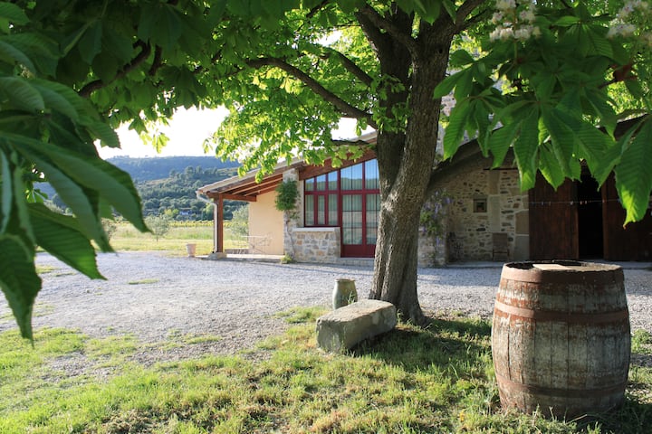 Charmant Gîte Au Cœur Des Vignes - Clermont-l'Hérault