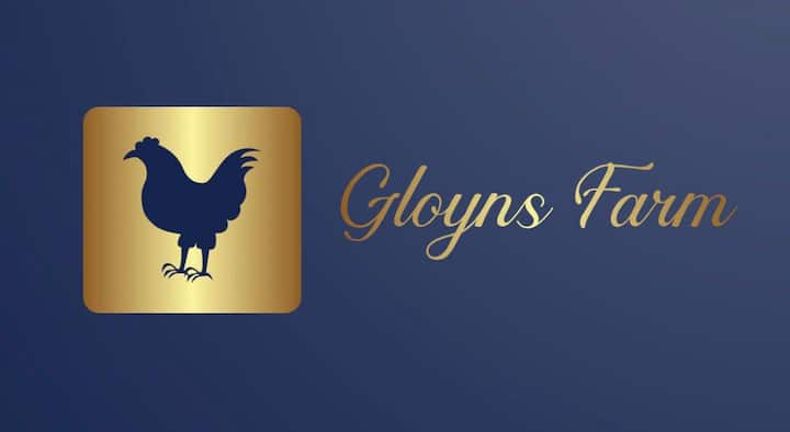 Gloyns Retreat Farm Stay - Static Caravan - Dulverton