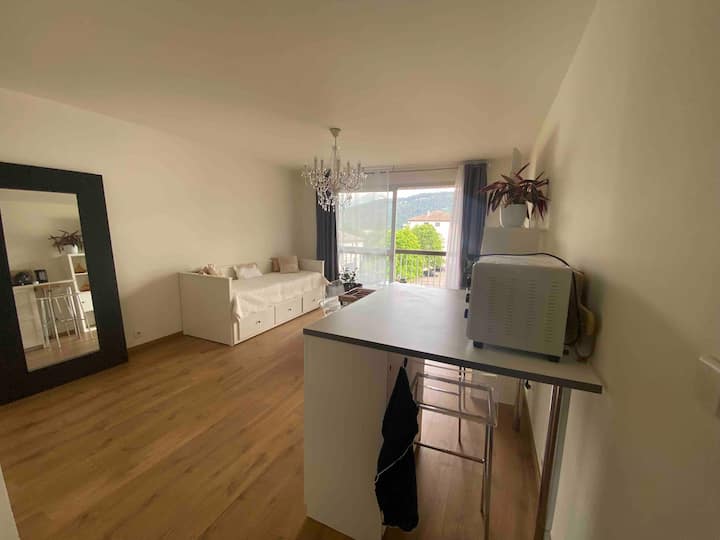 Studio Calme, Vu Sur Les Montagnes - Annecy-le-Vieux