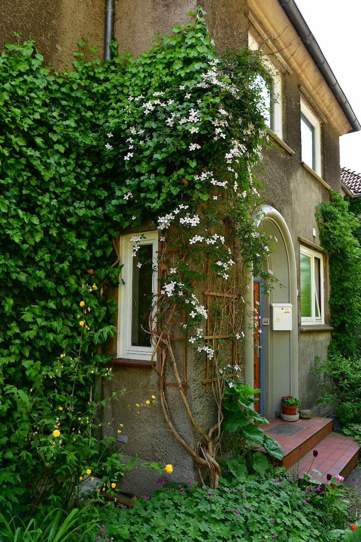 Helle Wohnung, Citynah, Uninah, Schnell Am Strand - Kiel