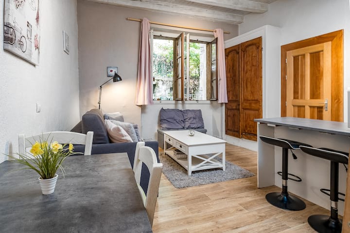Charmant Studio Au Cœur De La Vieille Ville - Annecy-le-Vieux