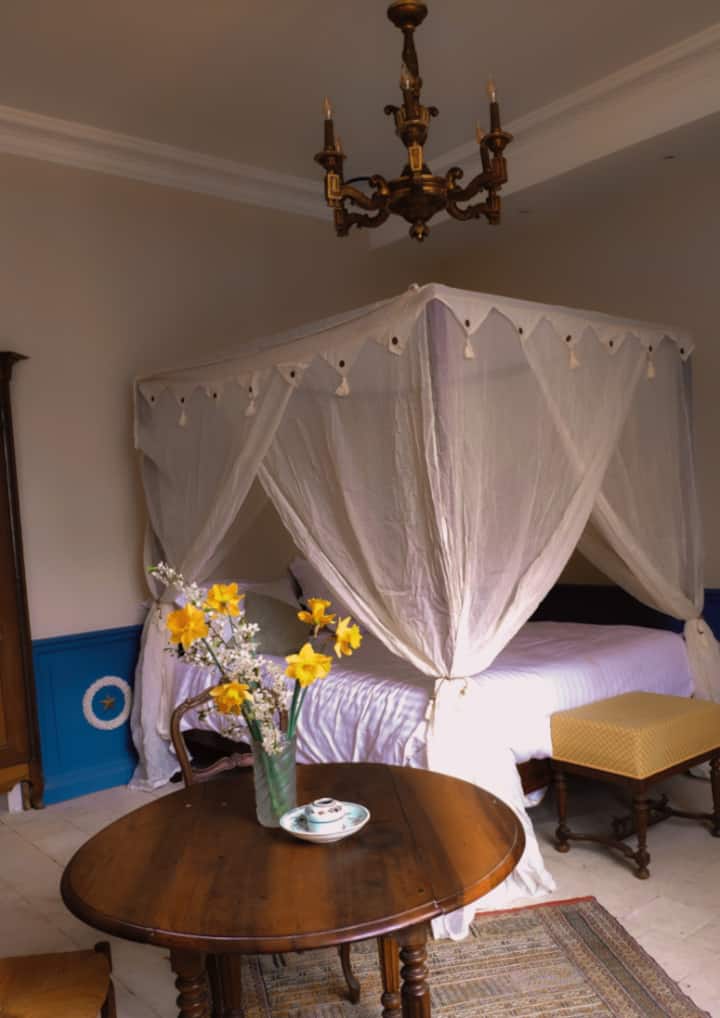 Studio Indépendant Kitchenette Lit Baldaquin 43 M2 - Tours