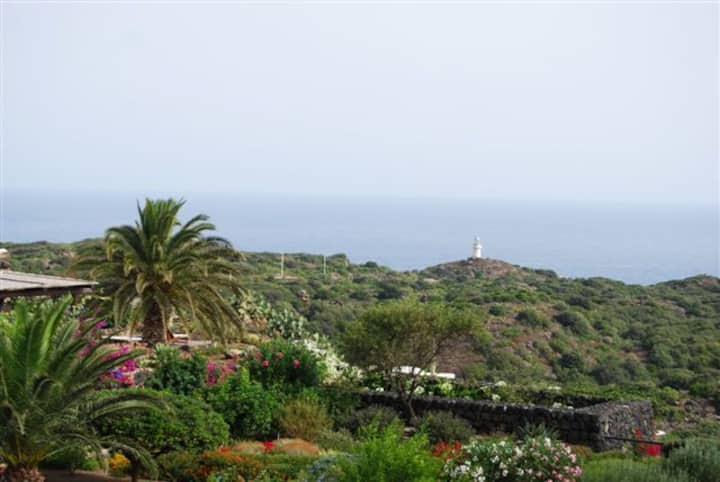Dammuso Cala Cottone - Italy
