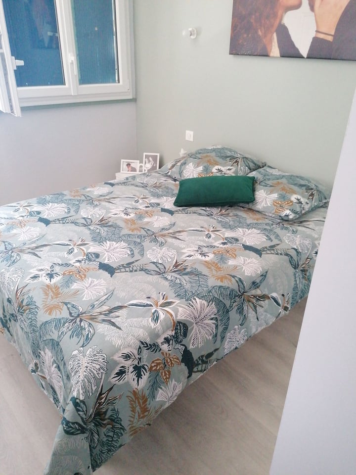 Maison Chat- Leureuse - Albi