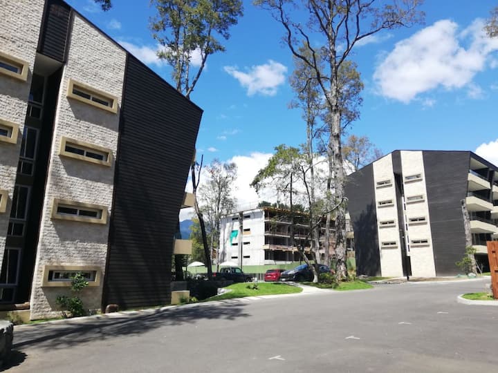 Departamento Estudio Cercano Al Centro Y Lago. - Pucón