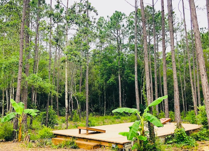 Bayfront Forest Camper With Kayaks/nature Trail - Navarre, FL