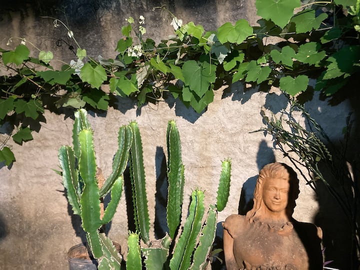 Casa Arte - Casa Inteira - Tiradentes