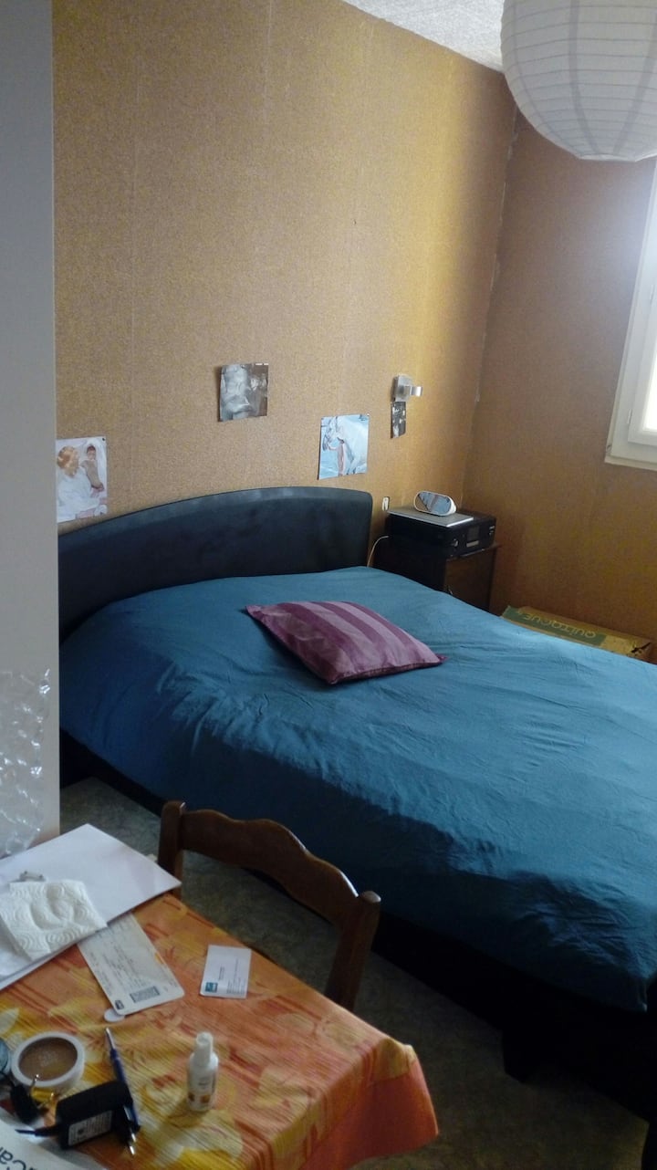Chambre Privée Oullins Proche Lyon. - 里昂