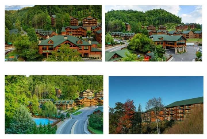 Thanksgiving With The Family - Gatlinburg, TN