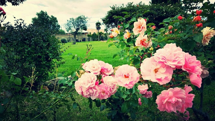 Camera Villa 20 Minuti Da S. Pietro - Cerveteri