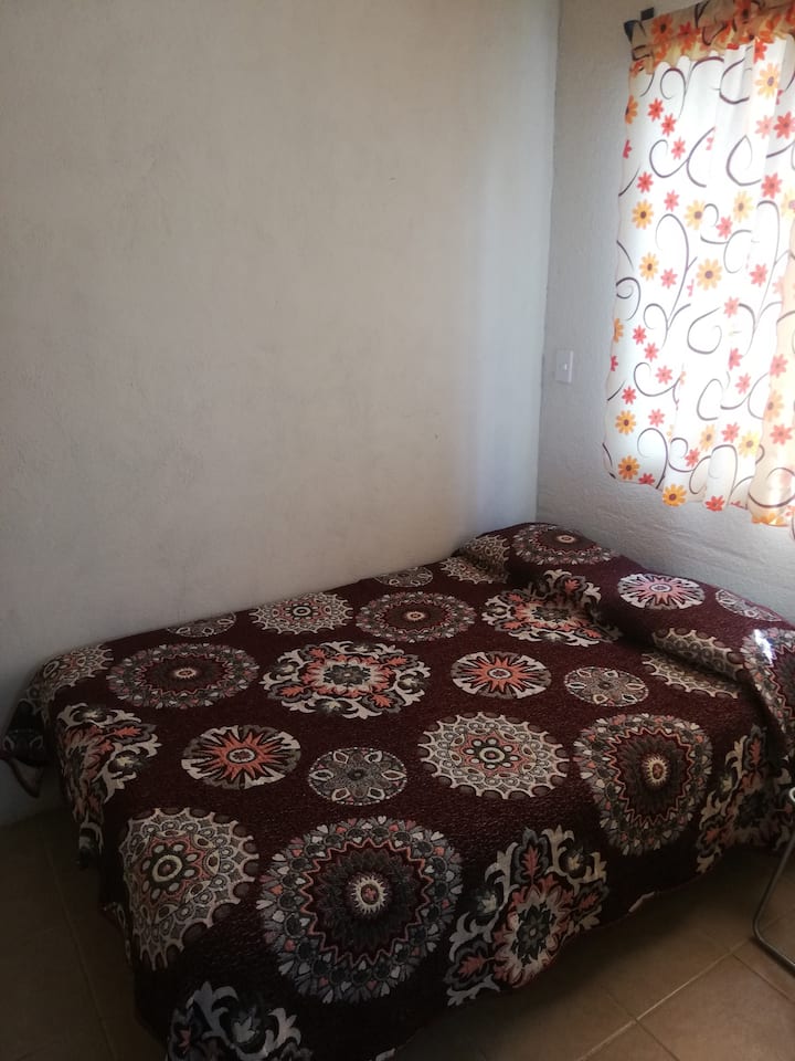 Girasol 🌻 - Tehuacán