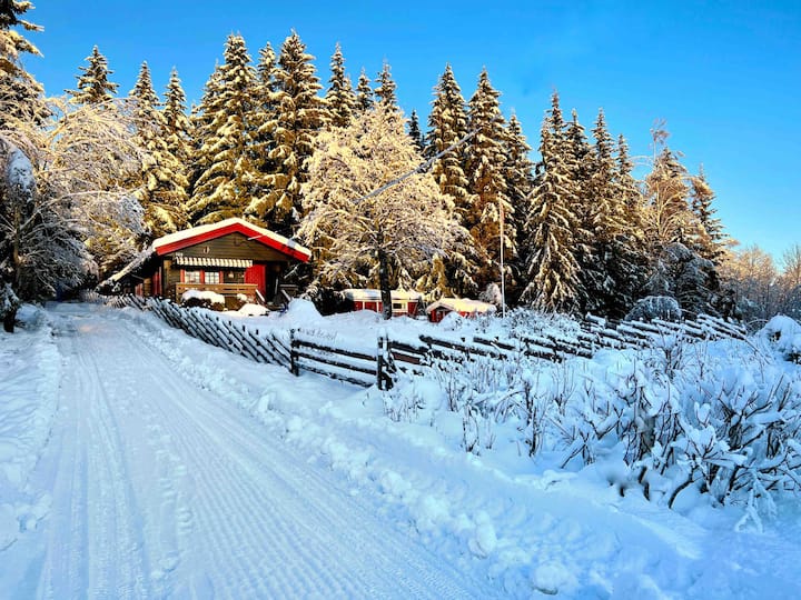 Cottage W Wilderness Feel 20 Min From Airport - Norvegia