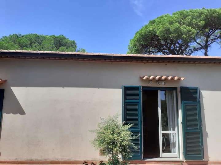 Monolocale 300 Metri Dal Mare Con Giardino Privato - Marina di Grosseto