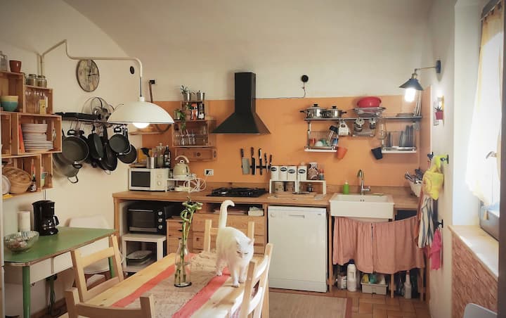Capos' Manor 1 - Novara
