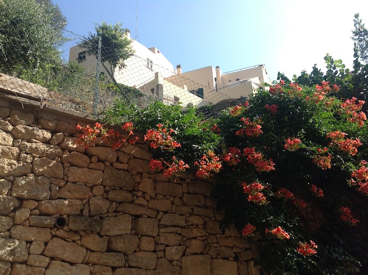 Fiordaliso - Noli