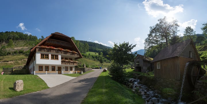 Unsere Angrenzenden Wälder Sind Ein Paradies Für Naturliebhaber Und Wanderer - Simonswald