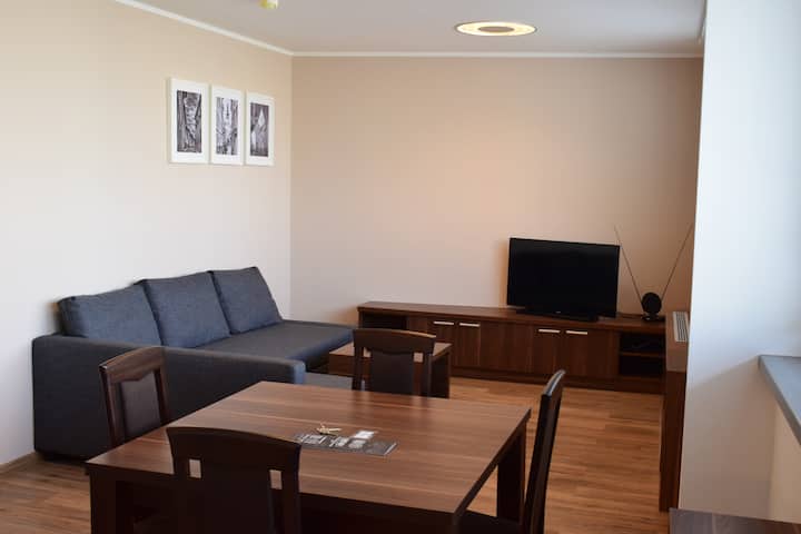 22nd Uprising Square - Large 4th Floor Apartment - Bratislava