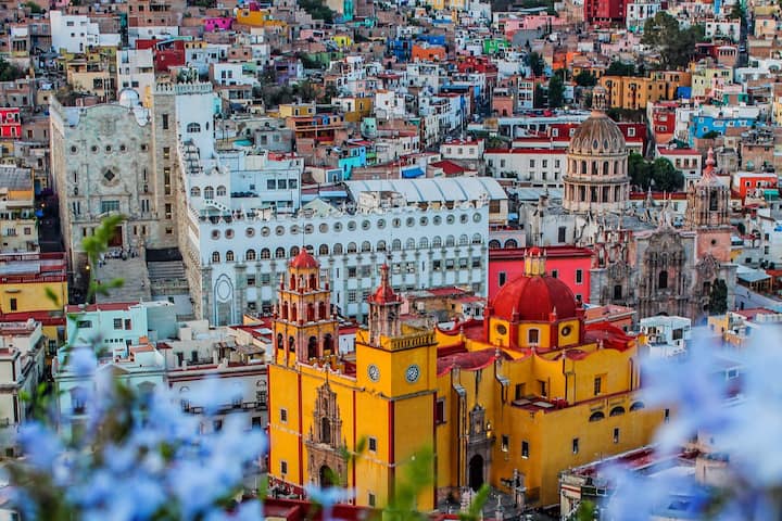 Flor De Liz Apartments At City Center - Guanajuato