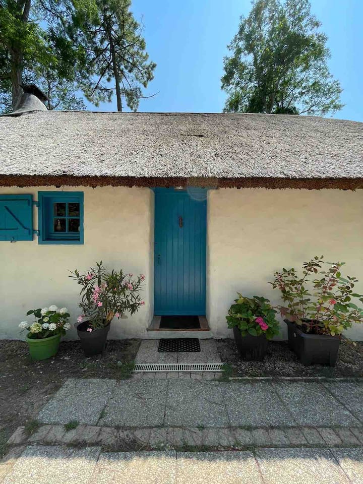 Bourrine Vendéenne Avec Piscine - Saint-Jean-de-Monts