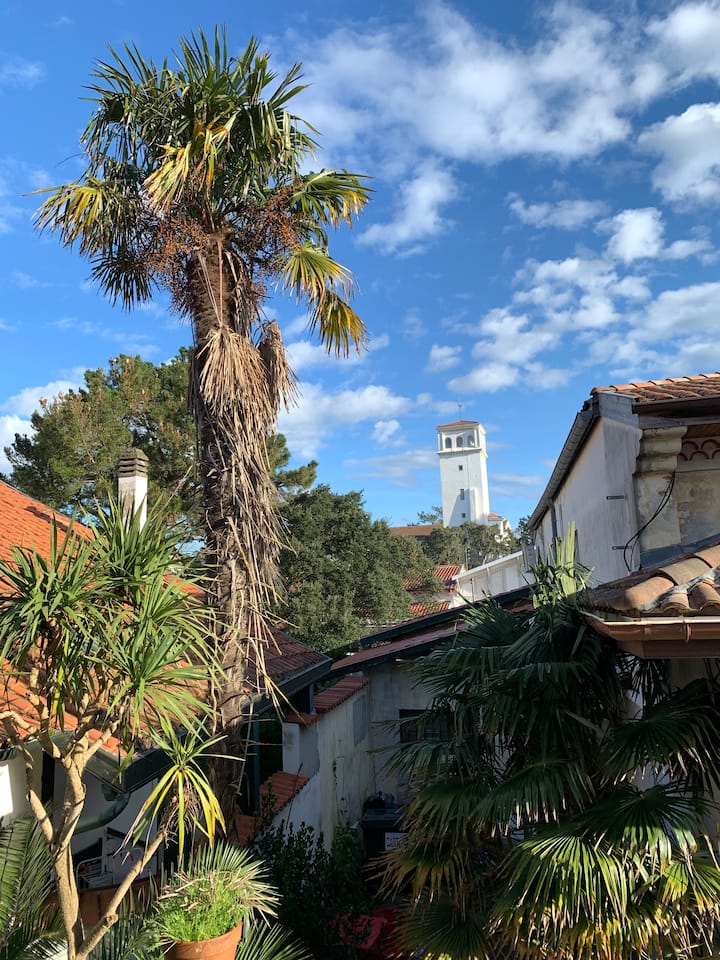 Hossegor
Tiny Appart Sous Les Toits Plein Centre - Hossegor