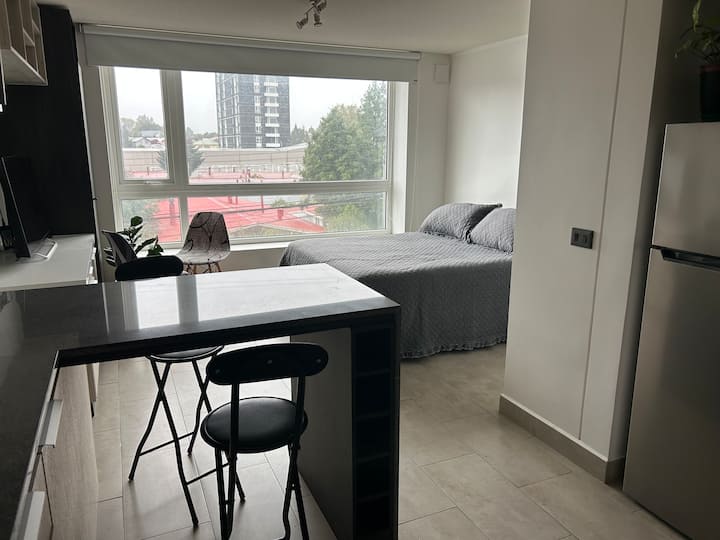 Dpto Estudio Para Dos Personas Vivo Caupolican - Valdivia