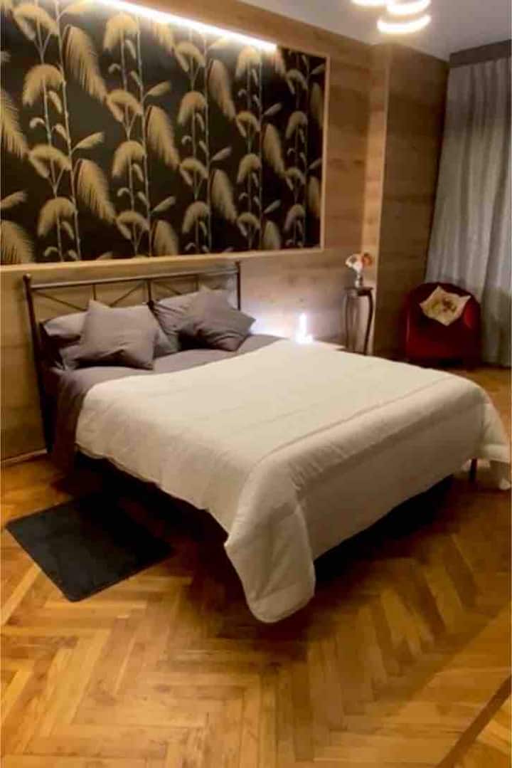 Ampio Bilocale Di Charme - Turin