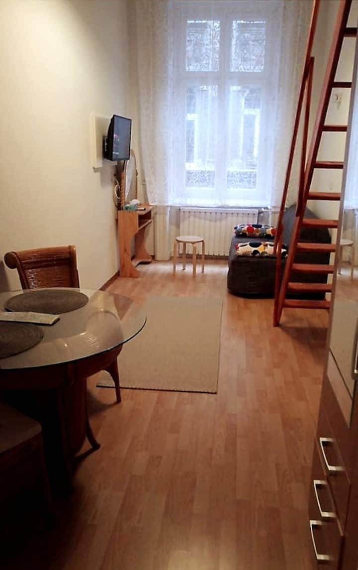 Daniel's Wooden Flat - Budapest