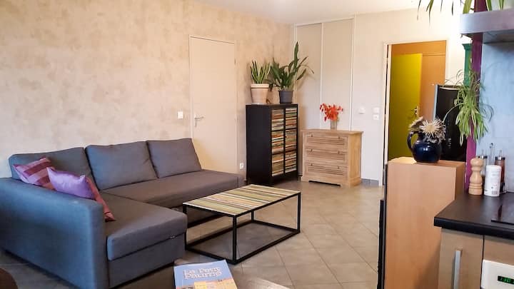 Bel Appartement Au Pied Du Tram, Vue Sur Parc Zen. - ibis Lyon Carre De Soie