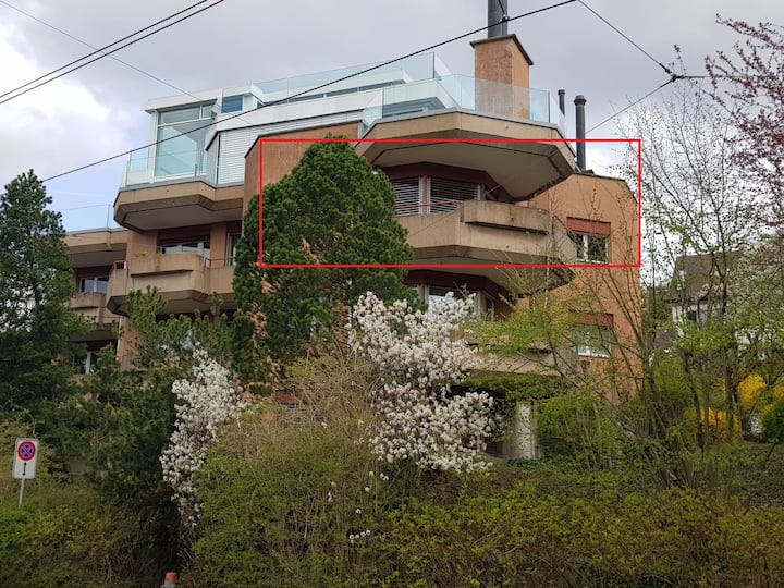 2 Bedroom Zurich Flat With Lovely City View - Zurique