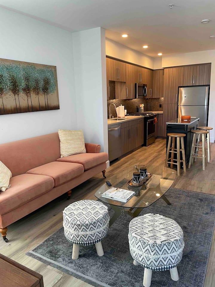 Modern Luxury 1b/1b Disney 10 Min - Orange, CA