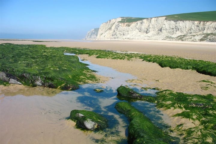 Maison De Pêcheur à 100 M De La Plage - Spot Kite - Wissant