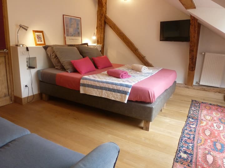 Appt Duplex Bio Coeur Des Alpes Et Cité Médiévale - Albertville