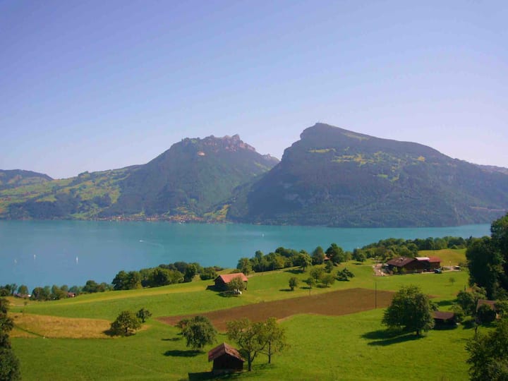Beautiful Lake/mountain Views - Faulensee