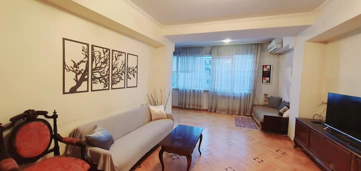 Lovely 2 Bedroom Apt In Heart Of Yerevan - Yerevan