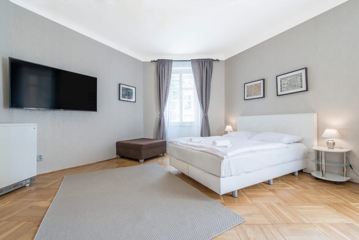 Central Spacious Apt, Authentic Locals Atmosphere♥ - Praag