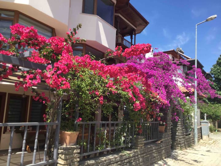 Akyaka Artapart Kahlo - Akyaka